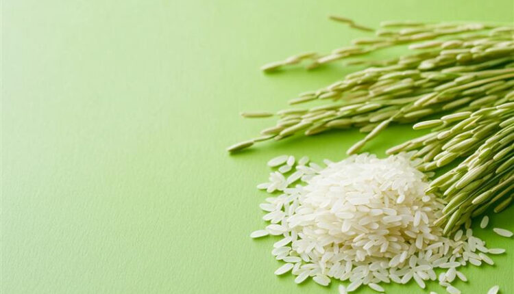 Rice Bran Wax: A Sustainable And Superior Alternative To Montan Wax ...